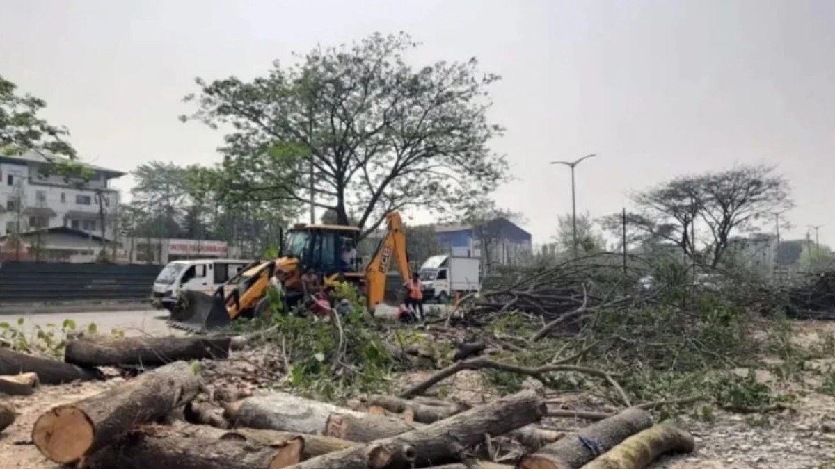 NGT Questions Assam on Highway Tree Cutting - Urban Acres