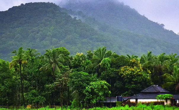 Goa Urges Centre for Revisions in Eco-Sensitive Zone Roster - Urban Acres