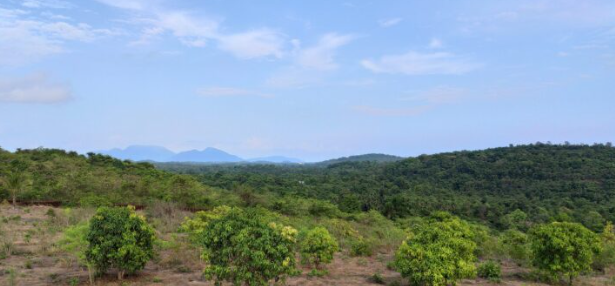 New Law to Combat Land Grabs in Goa - Urban Acres