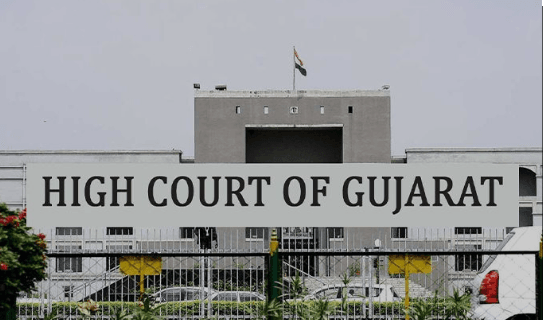 Gujarat High Court Mandates Approval for Gir Railway Gauge Conversion ...