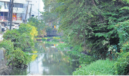 Thevara-Perandoor Canal Gets Eco-Friendly Makeover - Urban Acres
