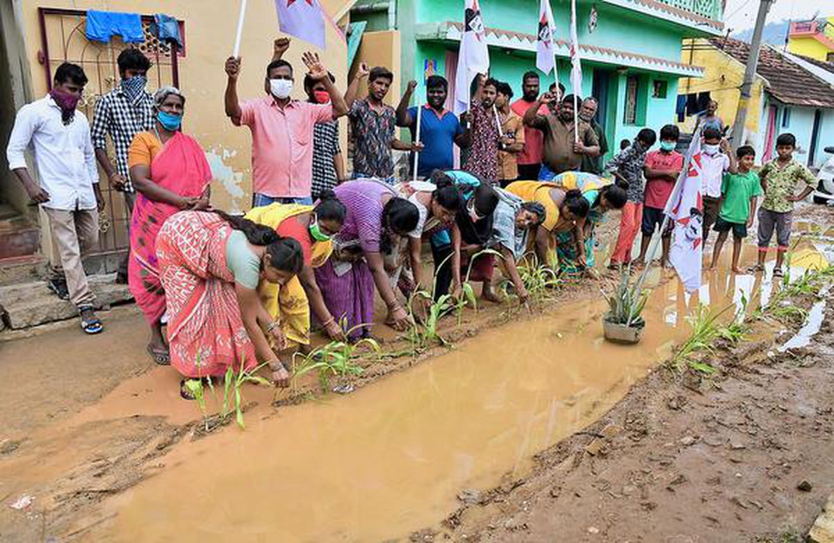 Tamil Nadu Coimbatore Residents Use Tree Planting to Protest Roads